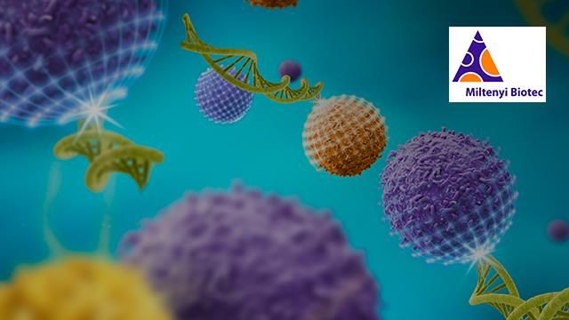 Catapult Your Cell Therapy Research Into the Clinic: Beyond Immuno ...