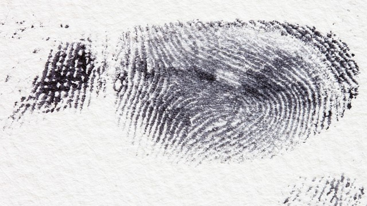 Forensic Fingerprint Technique Could Revolutionize the Fight Against ...