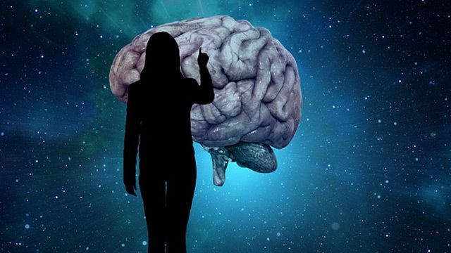 Brain Region Linked to Altruistic Behavior Identified | Technology Networks