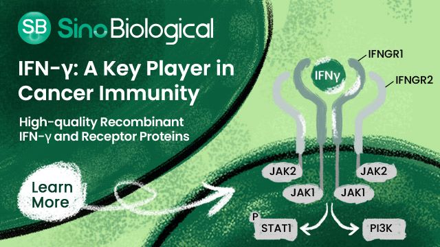 IFN-γ: A Key Player in Cancer Immunity | Technology Networks