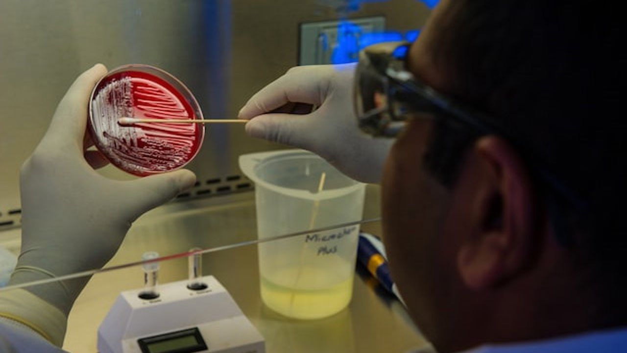 Constructing the Most Complex, Complete Synthetic Microbiome to Date ...
