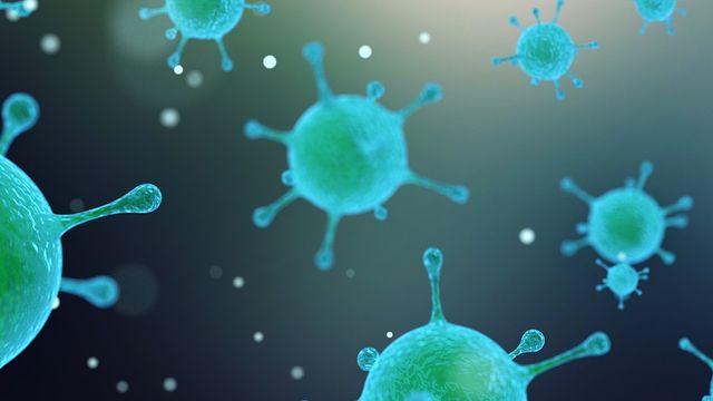 Researchers Capture Live Footage of a Virus Infecting a Cell ...