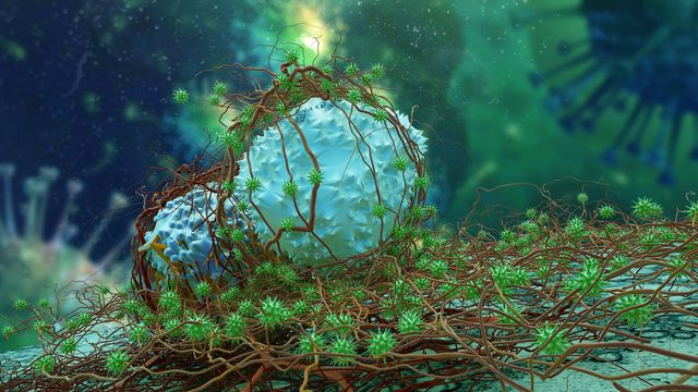 “Starving” Cancer Cells Switch Their Metabolism To Feed on Proteins ...