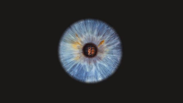 The Eye's Connections to the Brainstem Revealed for the First Time ...