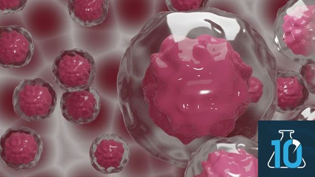 Organoid Culture Made Easy With Hilary Sherman | Technology Networks