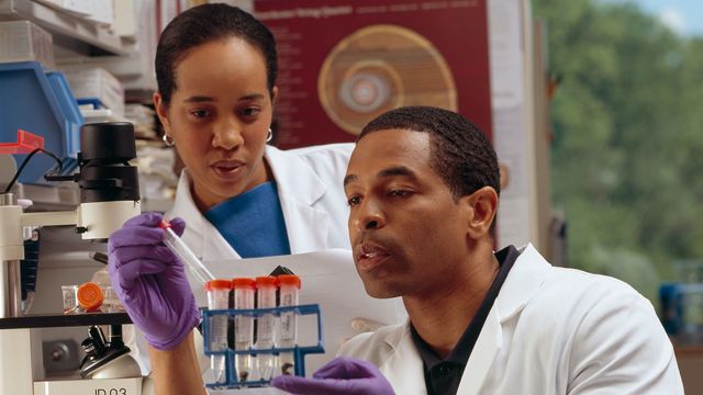 Scientists Are Most Creative Early in Their Career | Technology Networks