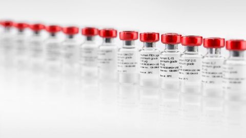 Hepregen Launches First Dog HepatoPac® Assay Kit | Technology Networks