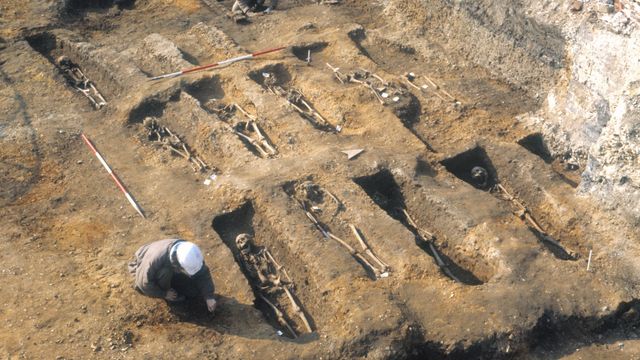 Natural Selection Driven by the Black Death Linked to Modern-Day ...