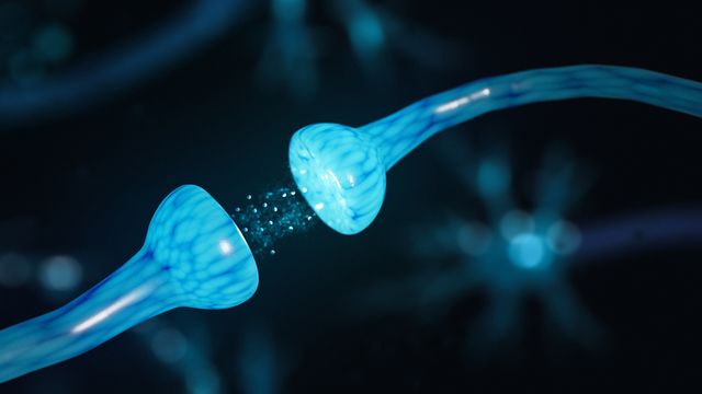 Electrode Array Maps Up to a Million Synaptic Links in a Living Brain ...