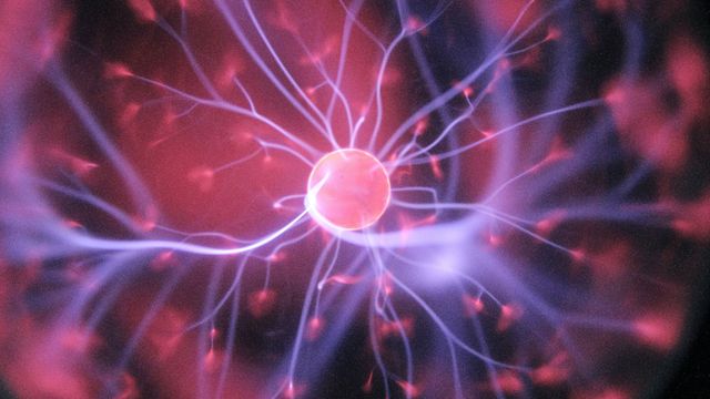 Molecule That Puts Brain Cells Into "Boost Mode" Identified ...