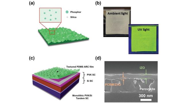 Light Absorption Improved in Perovskite/Si Tandem Solar Cells ...