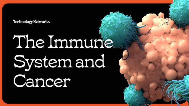 The Immune System and Cancer | Technology Networks