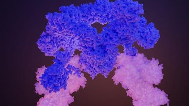 Key Regulator of Cell Growth Deciphered | Technology Networks