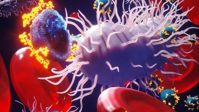"Smart" Red Blood Cells Could Deliver Antibiotics to Specific Bacteria ...