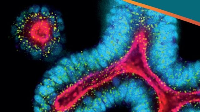 Lead Identification Screening Services in 3D | Technology Networks