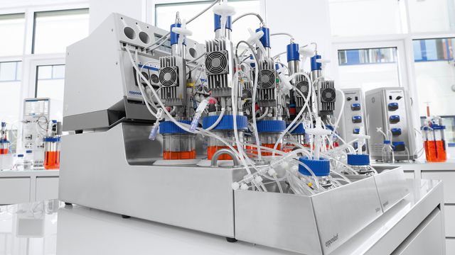 Improving Stem Cell Cultivation in Bioreactors | Technology Networks