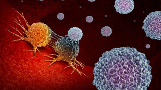 Novel High-Throughput Image Cytometry Method for T-Cell ...