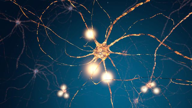 Mutation Associated With Autism Can Overstimulate Brain Cells ...