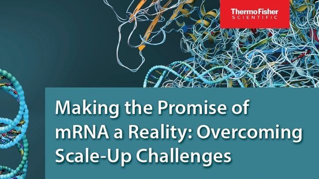 Making the Promise of mRNA a Reality: Overcoming Scale-Up Challenges ...