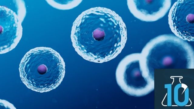 Single-Cell Isolation: When Art Is Not Enough | Technology Networks