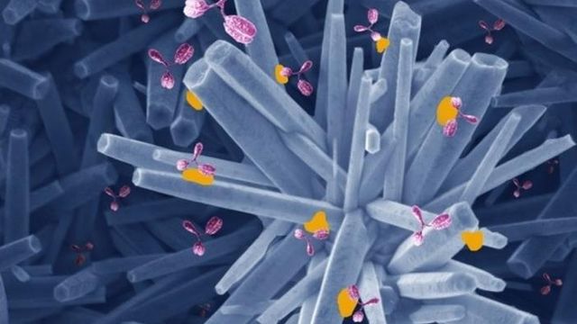 Novel Device Detects COVID-19 Antibodies in Five Minutes | Technology ...