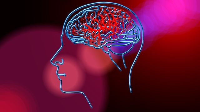 New Techniques Reveals How the Brain Guzzles Oxygen | Technology Networks