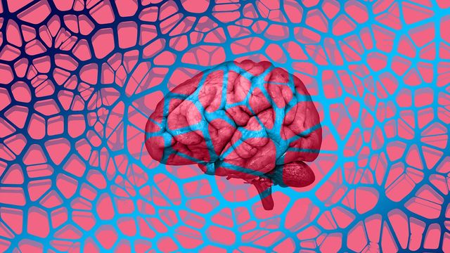 Garbage Disposal Neurons Are Key to Brain Health | Technology Networks