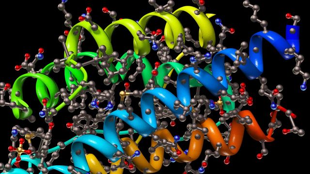 Recombinant Protein Expression Using a Baculovirus–Insect Cell System ...
