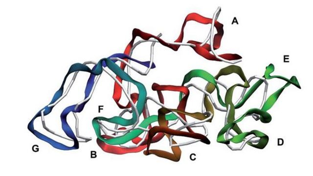 "Live" Virus Computationally Reconstructed in Its Entirety in World ...