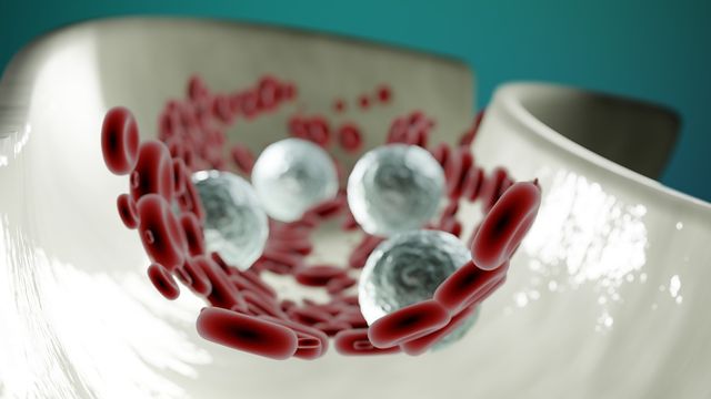 Study Reveals How Self-Reactive T Cells Are Held in Check By Regulatory ...