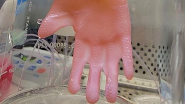 Bioengineers Devise a Way To Grow Skin in Complex, 3D Shapes ...
