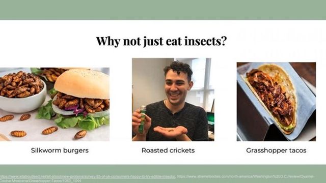 Entomoculture: Using Insect Cells for Cellular Agriculture | Technology ...