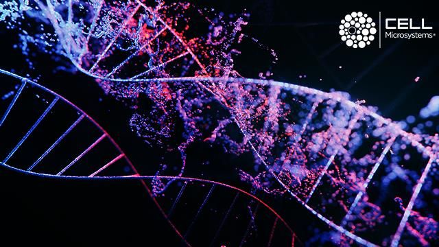 Cloning in the Third Dimension: Breakthroughs in 3D Biology ...