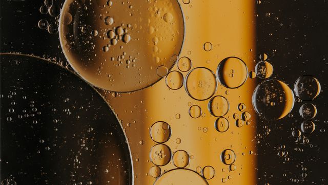 Rapid Method Detects Food Adulteration Technology Networks