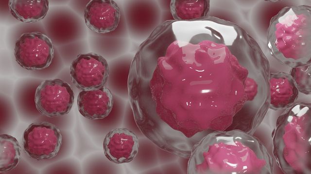 Specialized Garbage Disposal Cell Tracked for the First Time ...