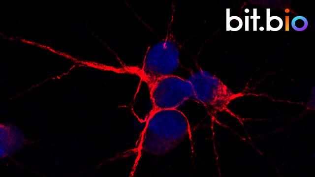 Rethinking Developmental Biology With Cellular Reprogramming ...