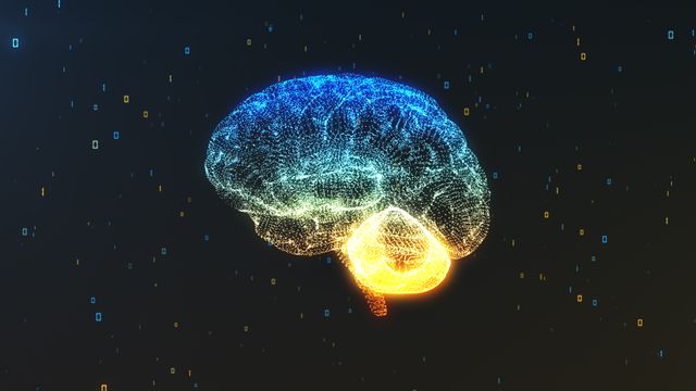 Where HIV Hides in the Brain | Technology Networks