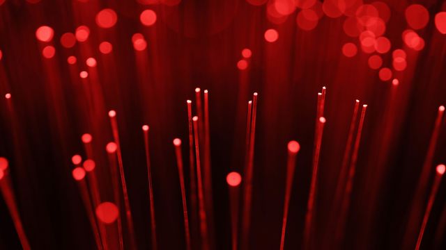 A New Bright Red Fluorescent Protein for the Biologist’s Toolbox ...