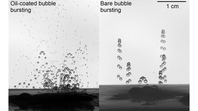Bursting Bubbles Bad News for Contamination Spread | Technology Networks