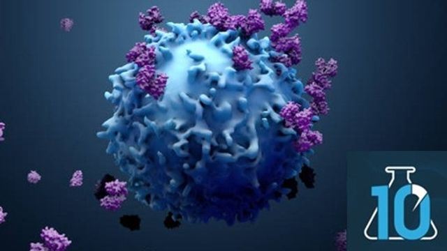 Early Detection of Bladder Cancer with Oncuria | Technology Networks