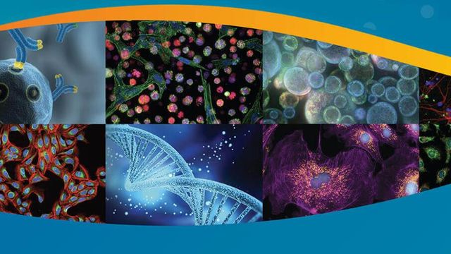 Scale Up With Molecular Devices | Technology Networks