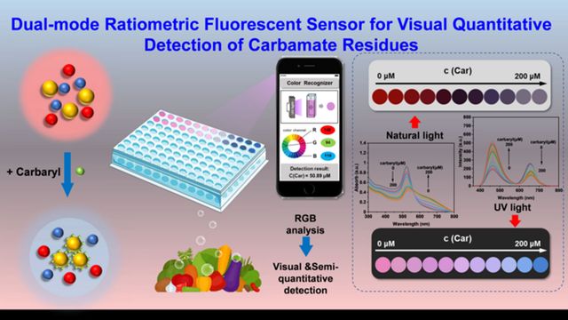 Hazardous Carbaryl Insecticide Residues Detected by Novel In Situ ...