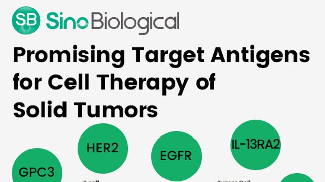 Promising Target Antigens for Cell Therapy of Solid Tumors | Technology ...