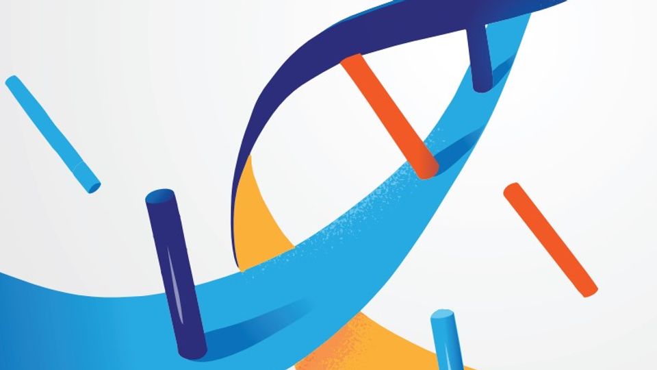 A primer on NGS Adapters: Structural Elements, Key functions, and ...