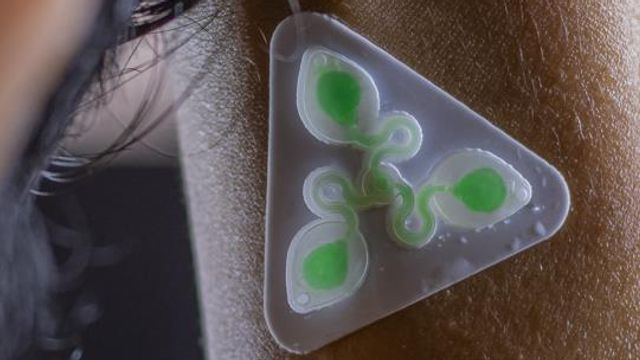 "Sweatainer" Enables Efficient and Cost-Effective Sweat Analysis ...