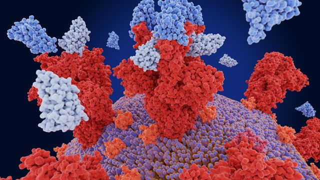 Advances In Protein Engineering Technology Networks