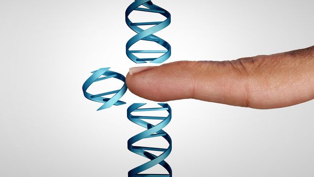 Gene-Editing Strategy Uses Alteration Found in Rare Disorders To Block ...
