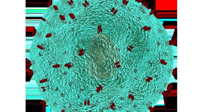 Gene Knockout Triggers Effective Long-Lasting Anti-Cancer Response ...