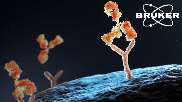 Maximizing Information Content in Data-Independent Acquisition Using ...