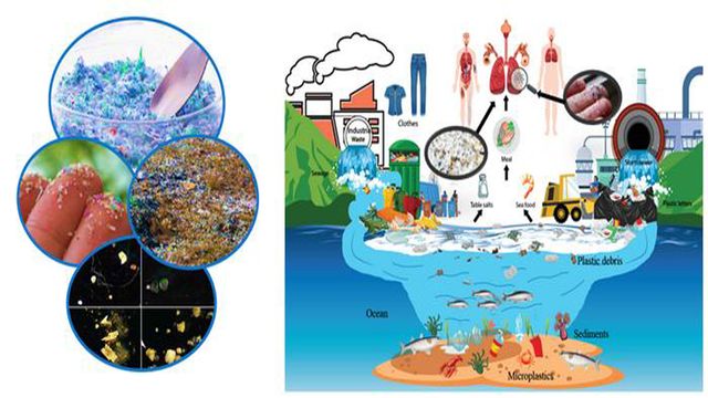 Studies Found Microplastics Deep in Human Airways | Technology Networks